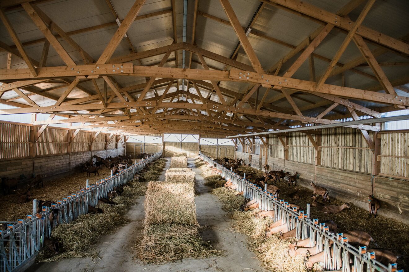 Notre ferme - Les Fromages de chèvre Moret